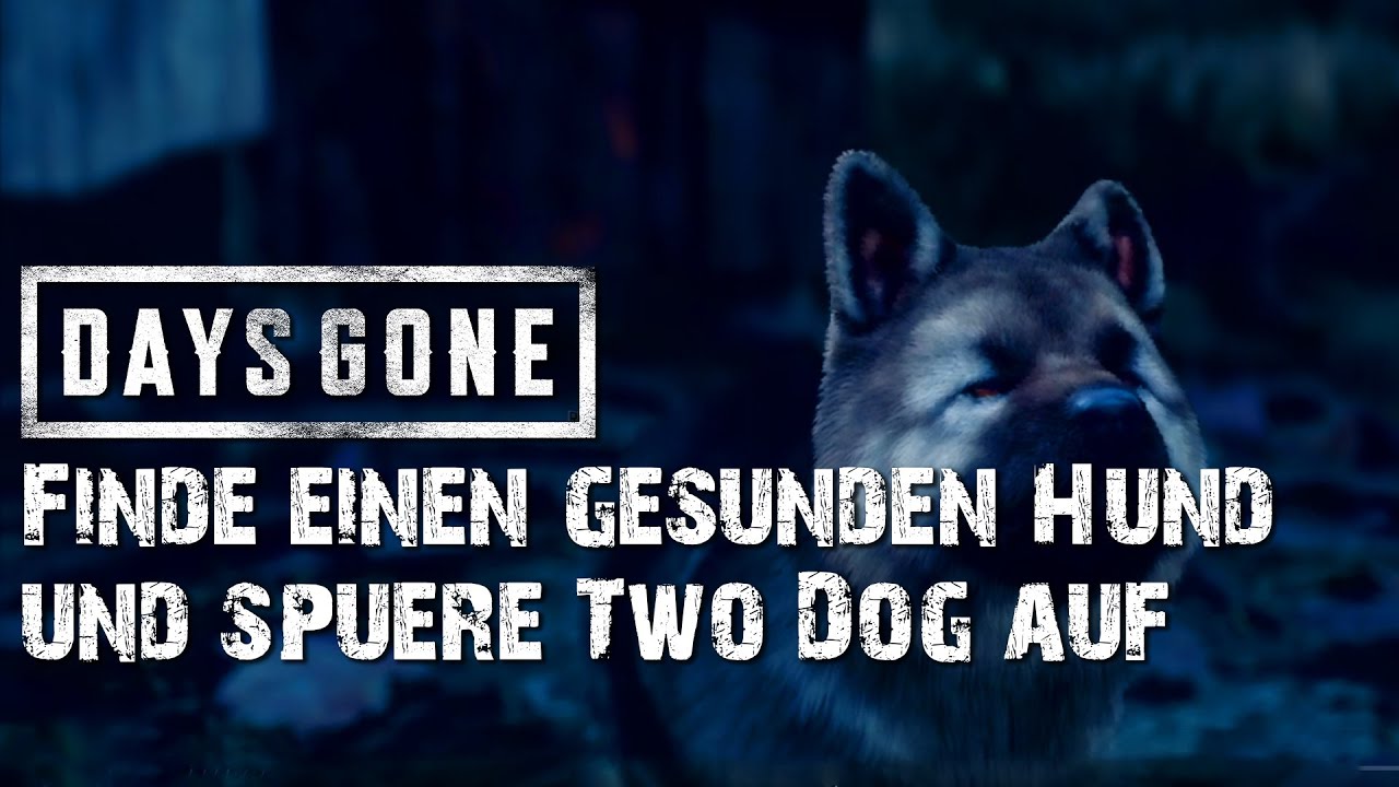 DAYS GONE Gameplay German - Finde einen gesunden Hund und spüre Two Dog ...