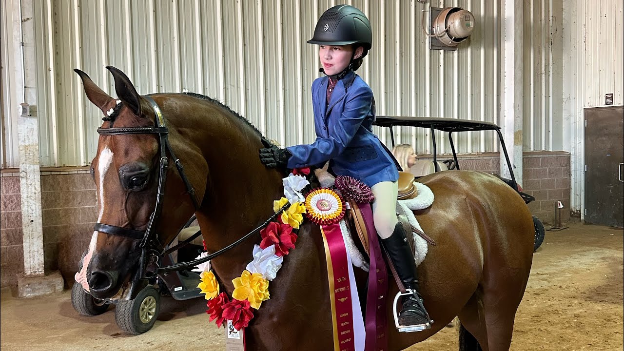 Reserve National Champions | Arabian Hunter Pleasure Walk/Trot 10 ...