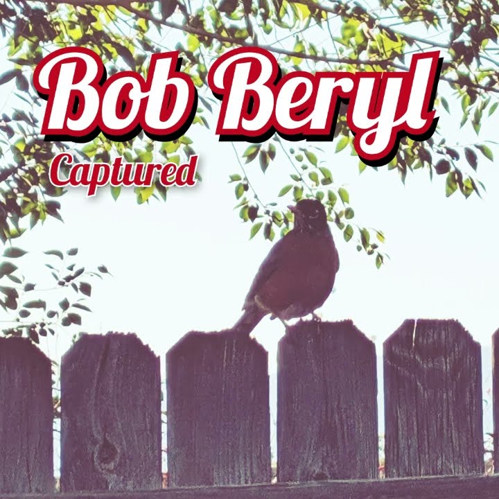 Foggy Trees by Bob Beryl (Written by Author Sarah Schwartz for ...