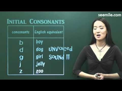 (Chinese Pronunciation) 2. Pinyin (Initial Consonants : b,p,m,p,d,t,n,l ...