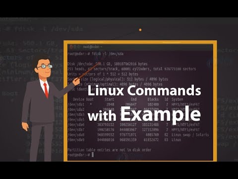 Implementation of Linux commands with live question answer - YouTube