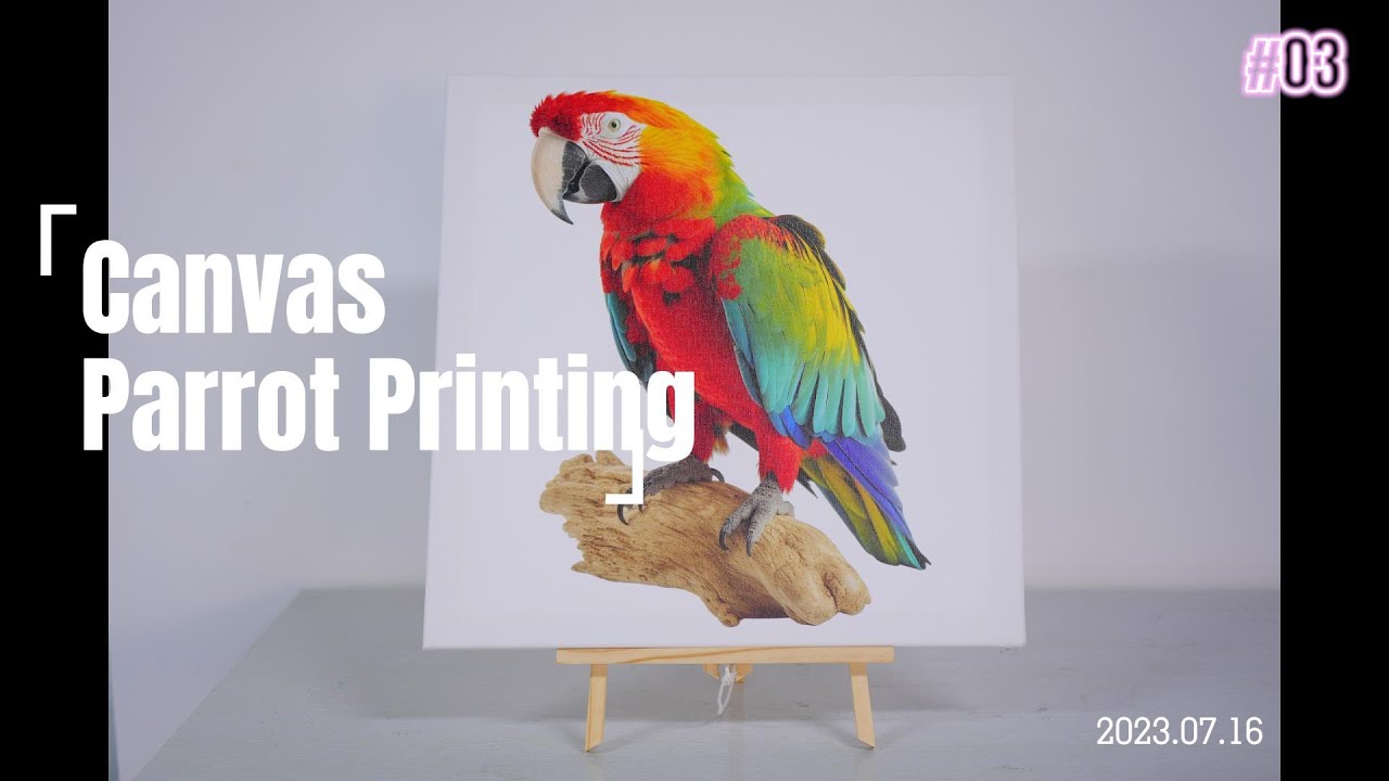 Wall Printing A Parrot on Canvas | VPJet4.0 Vertical UV Wall Prrinter ...