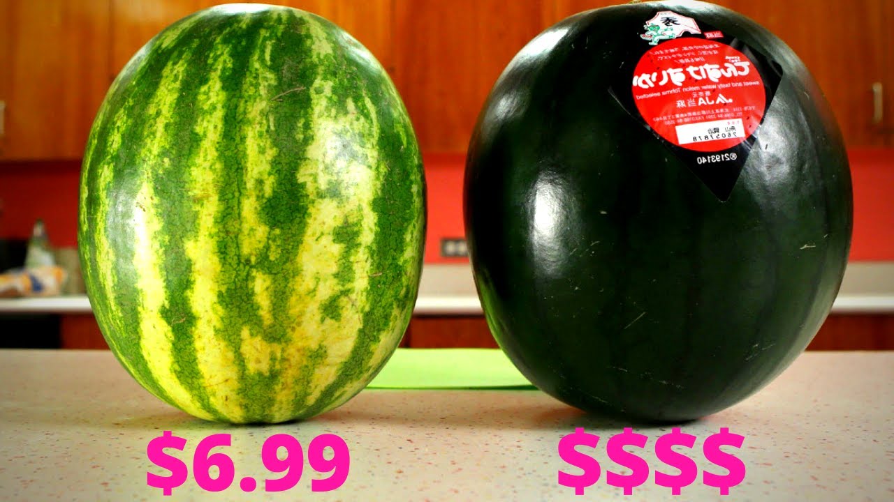 RAREST Foods On The Planet YouTube rarest-foods-on-the-planet-youtube