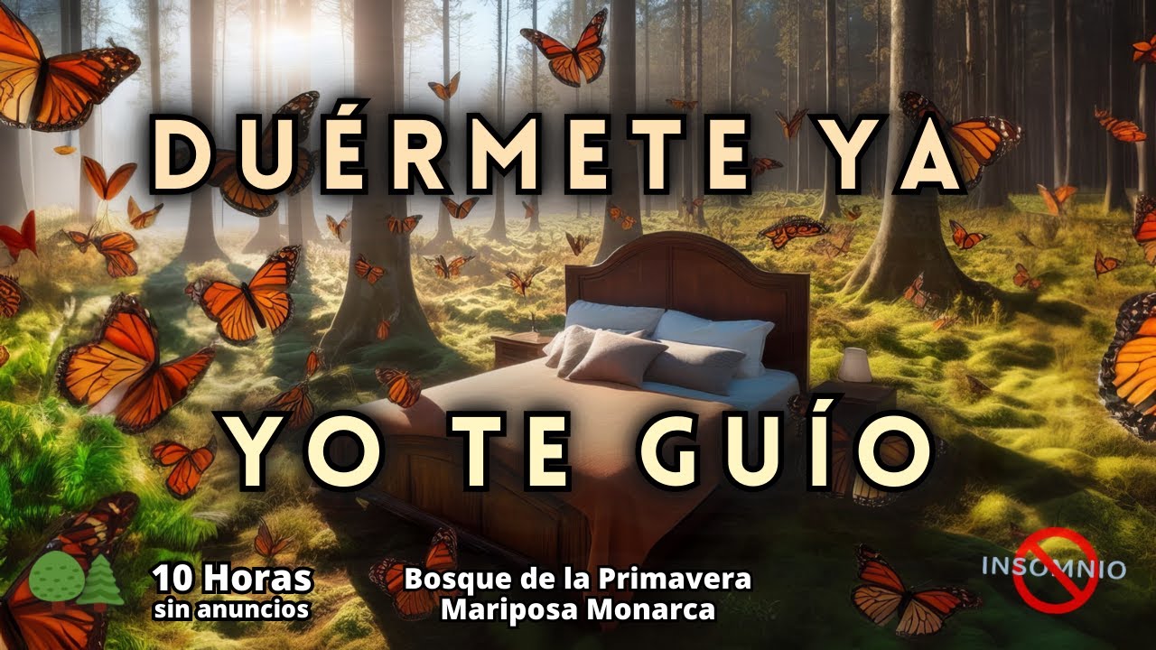 😴💤DUÉRMETE RÁPIDO, GUÍA DE RELAJACIÓN, SUEÑO REPARADOR, ANTI-INSOMNIO ...