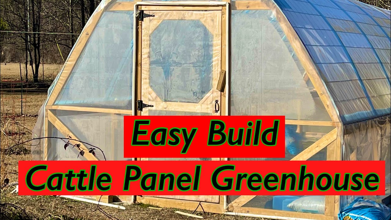 Building My Cattle Panel Greenhouse(Easy DIY Build) - YouTube