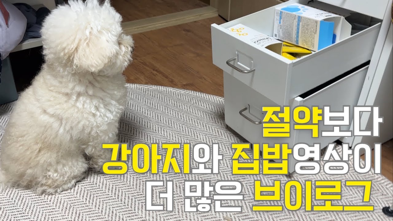 절약브이로그 매일 집밥먹고 걸어다니고 자전거타는 사람절약인가 강아지자랑인가도시락브이로그자취생브이로그직장인브이로그1인가구브이로그가계부 Youtube