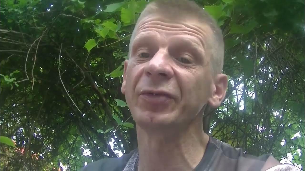 POKARZE JAK ONAMNIE GADA #kononowicz #major #suchodolski #szkolna17 #us17 - YouTube