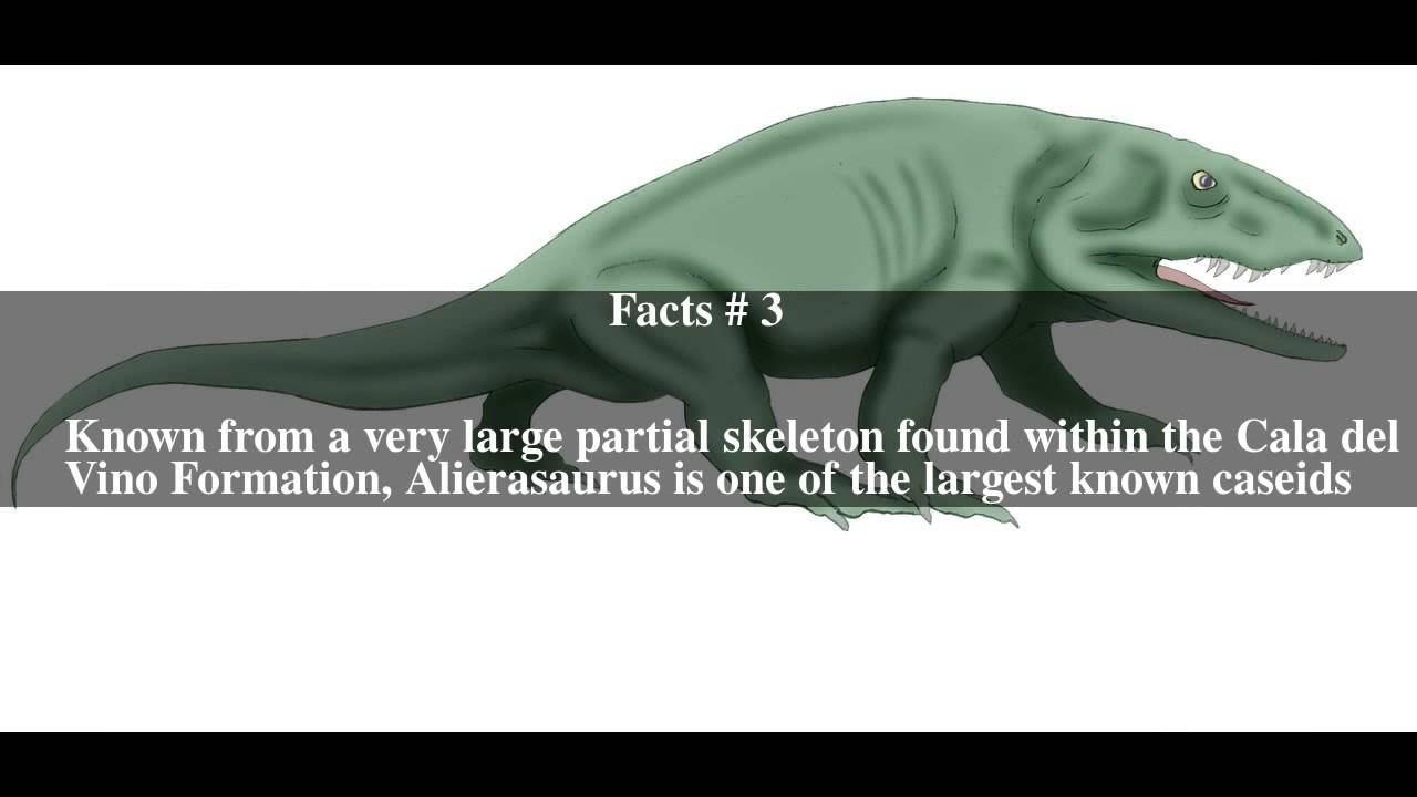 Alierasaurus Top # 5 Facts - YouTube