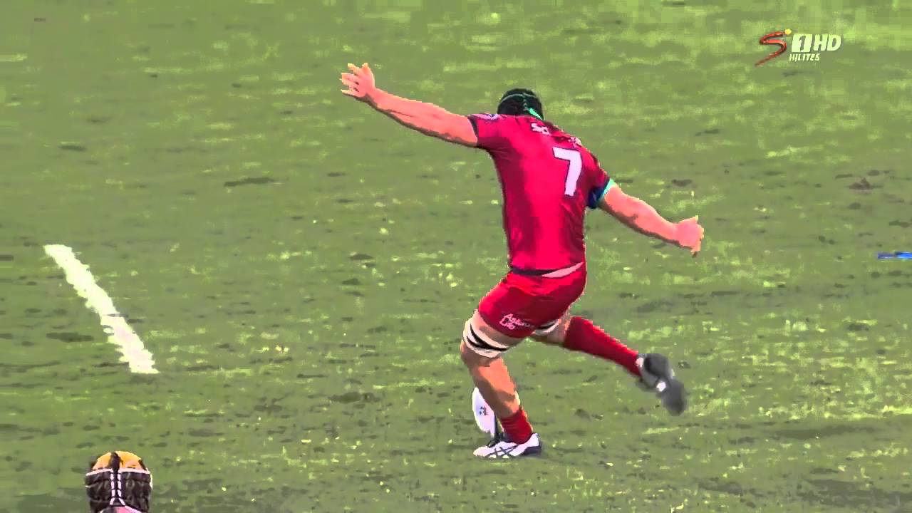 Liam Gill drop goal 40m - YouTube