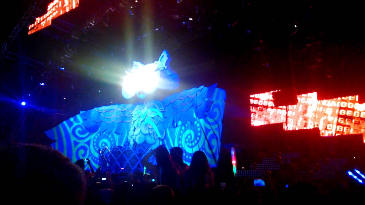 Showtek - Booyah EDC (Live Electric Daisy Carnival Mexico 2014) - YouTube