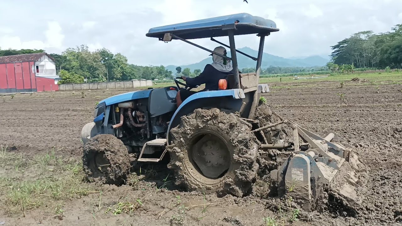 TRAKTOR SAWAH JONDER MEMBAJAK DI LAHAN YANG KEKURANGAN AIR ,HASIL RATA ...