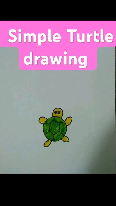 How to draw simple turtle ! Easy drawing turtle step by step - YouTube