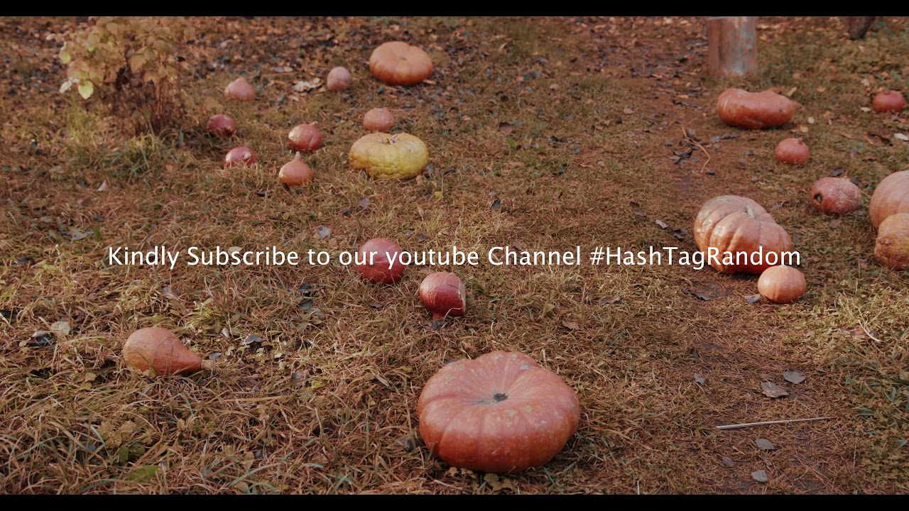 Weak Hearted People Stay Away HashTag Random YouTube weak-hearted-people-stay-away-hashtag-random-youtube