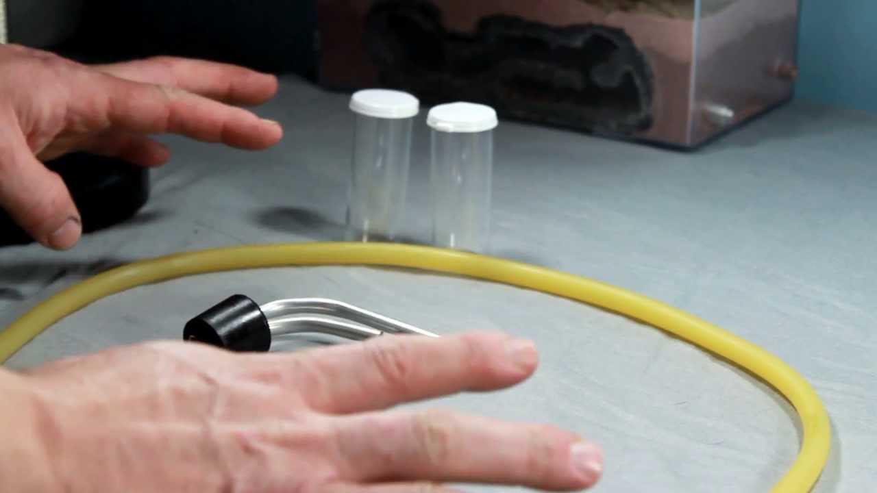Collecting Ants: Aspirators - YouTube