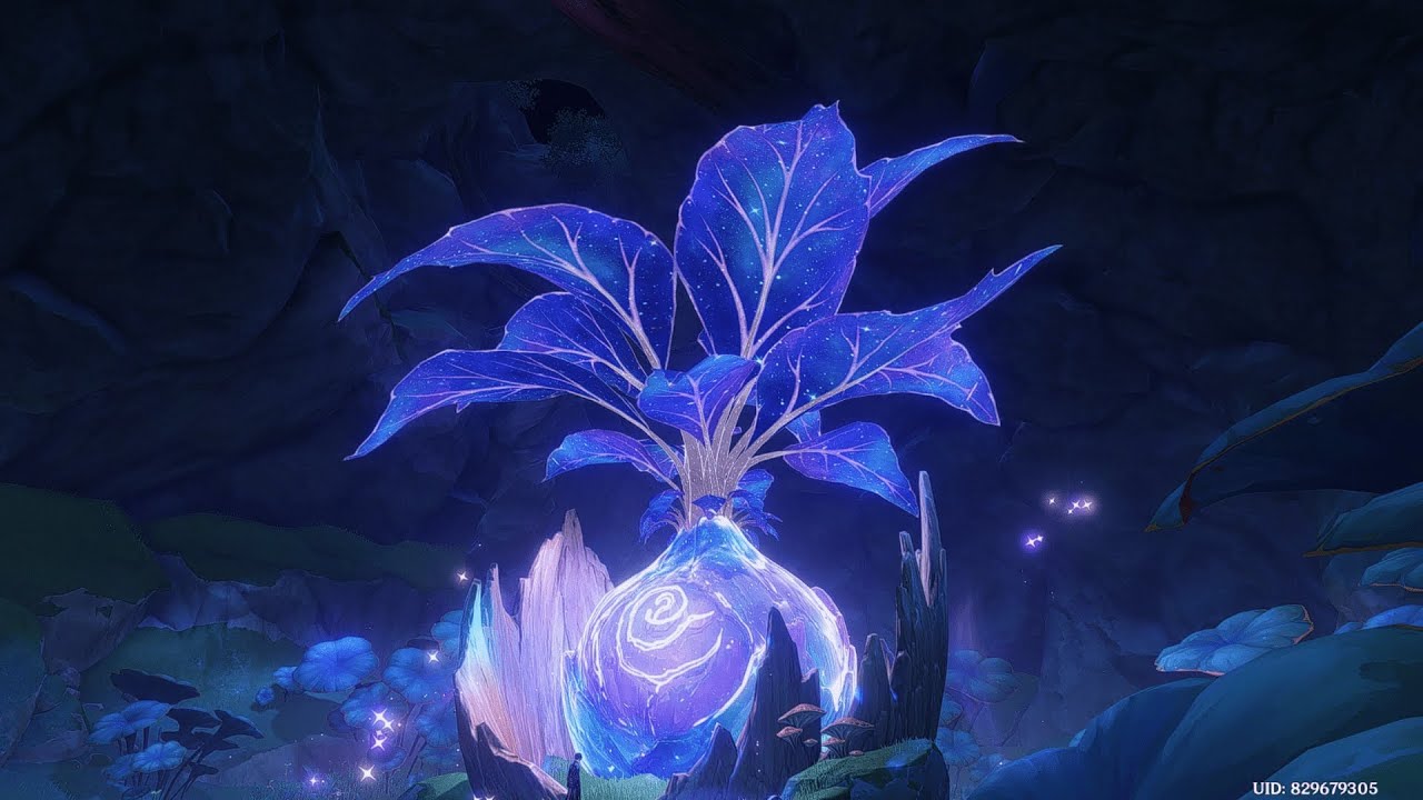 Genshin Impact | Maxing out Tree of Dreams and Summoning for Nahida ...