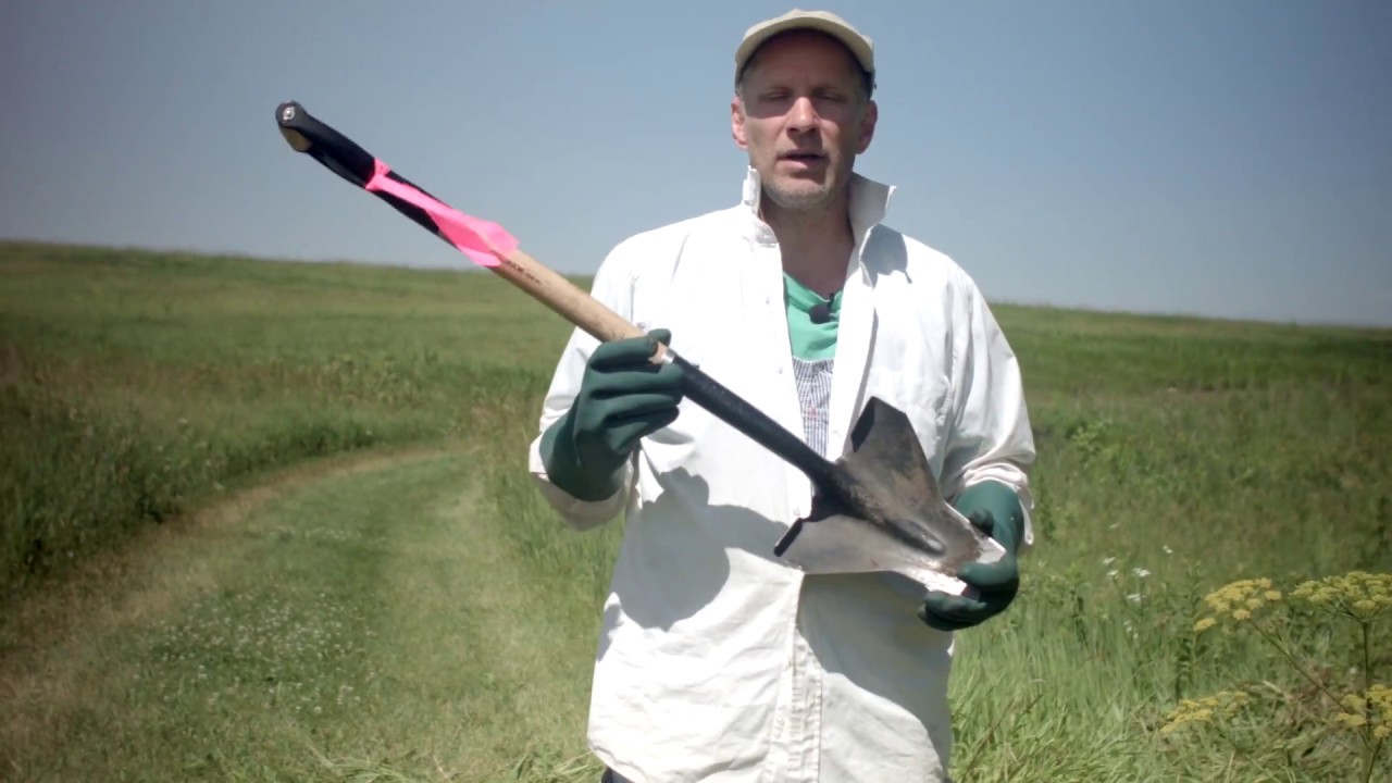 The Parsnip Predator - YouTube