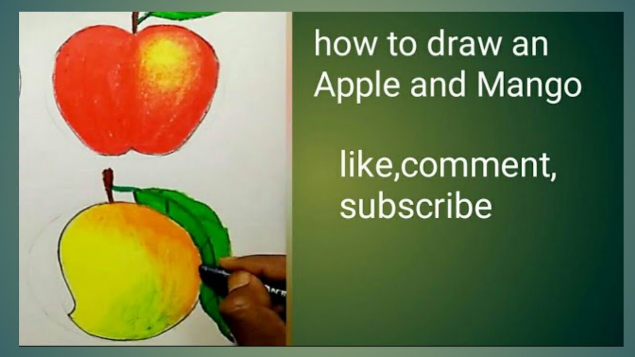 How to draw apple and mango |fruits drawing step by step easy tutorial ...