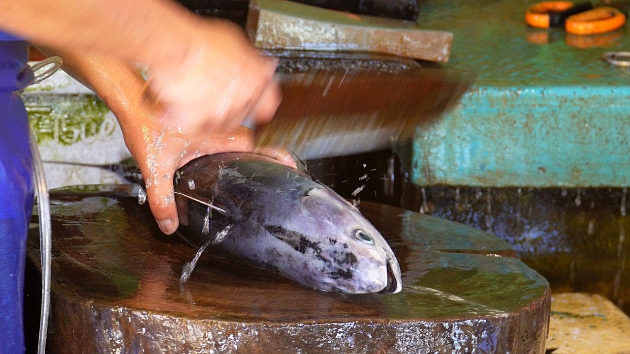 Taiwan Street Food - Seared Bonito - fish cutting show - YouTube