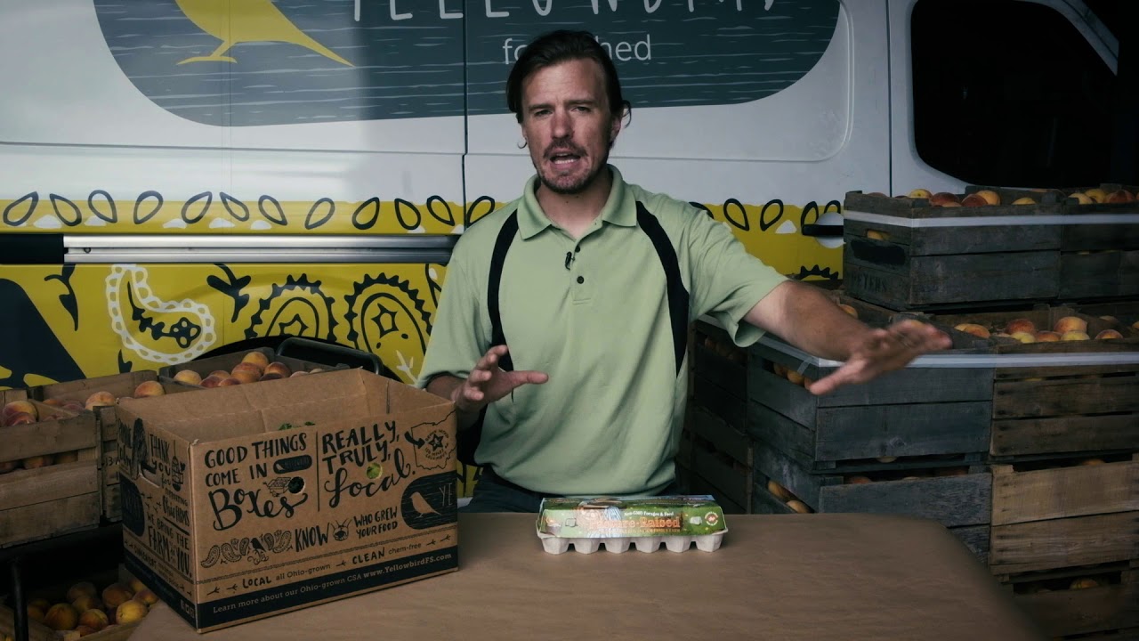 Pastured Eggs from Copia Farms in our Online Store - YouTube