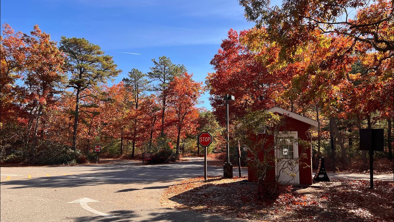 Fall colors at state park Atlanta City New Jersey. - YouTube
