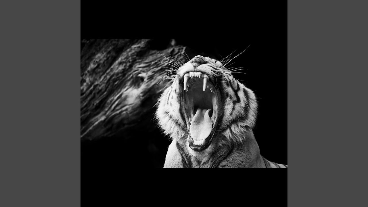 Tigerstripes - YouTube