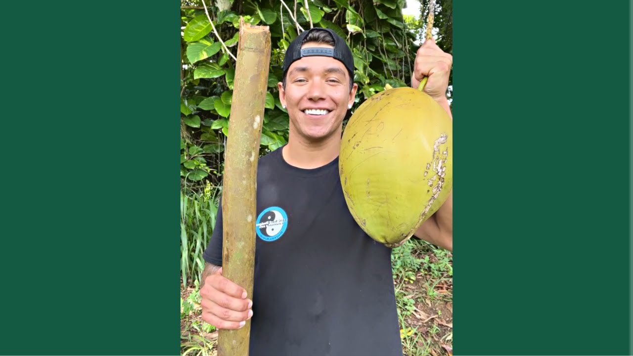 How to open a Coconut using a Stick! - YouTube