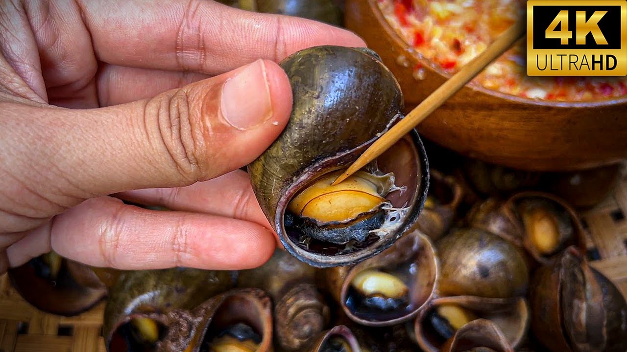 Would You Eat This Local Food Boiled Snail? Asian Food @foodatasty ...