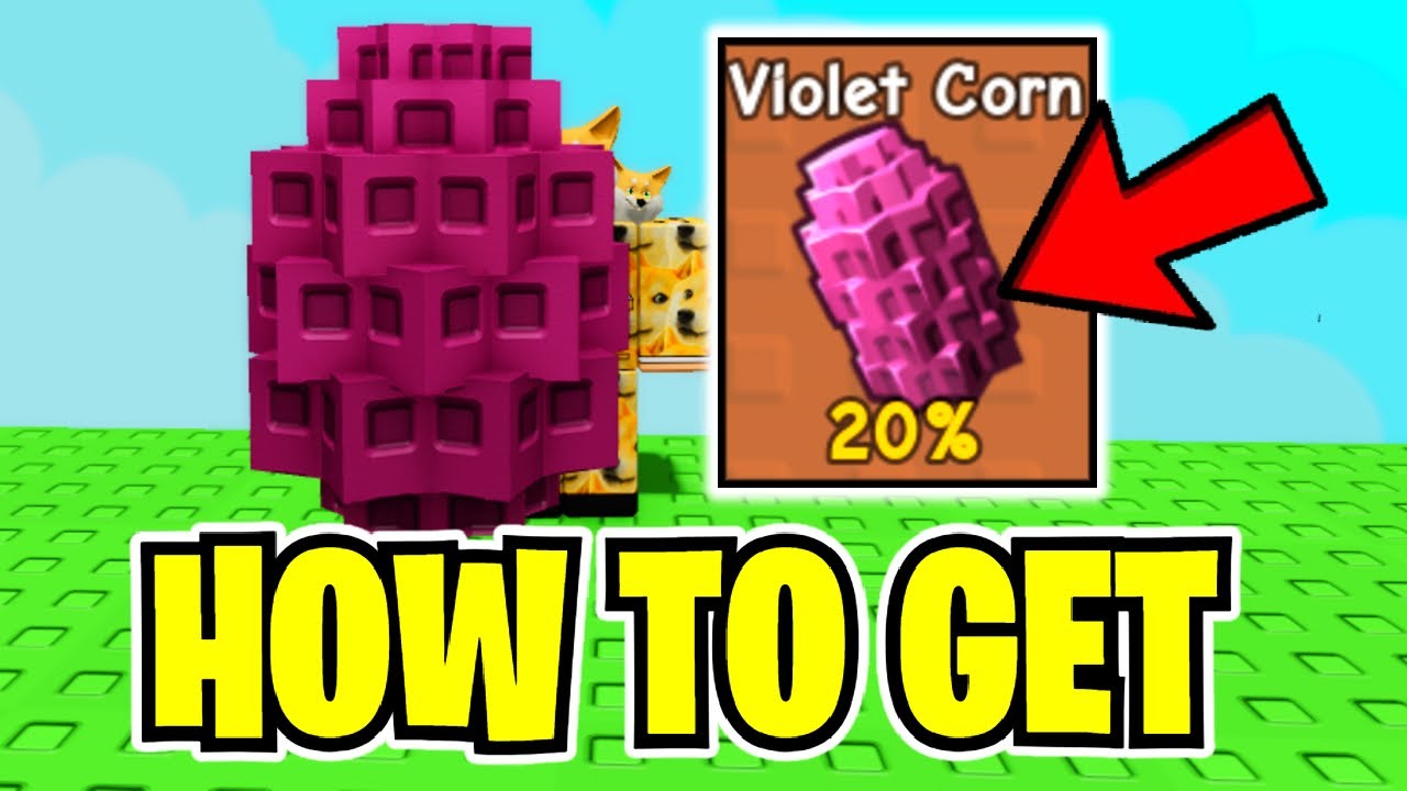 How To GET VIOLET CORN SEED & SHOWCASE In GROW A GARDEN! (FULL GUIDE ...