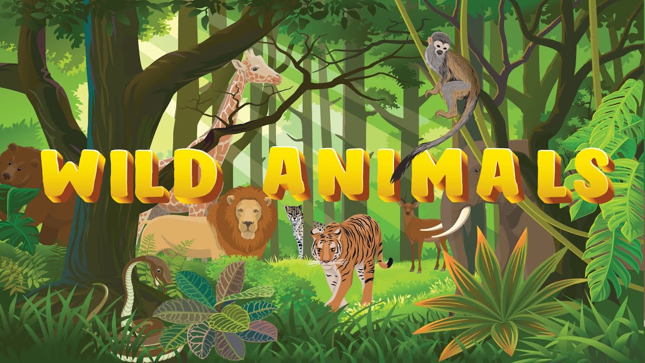 Wild Animals Name In English Learn Wild Animals Name With Their wild-animals-name-in-english-learn-wild-animals-name-with-their