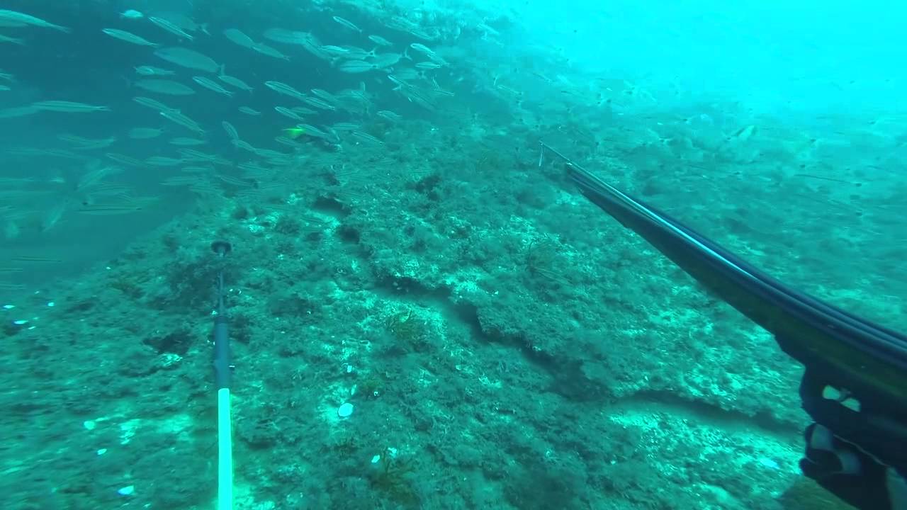 Amazing Florida lobster dive - YouTube