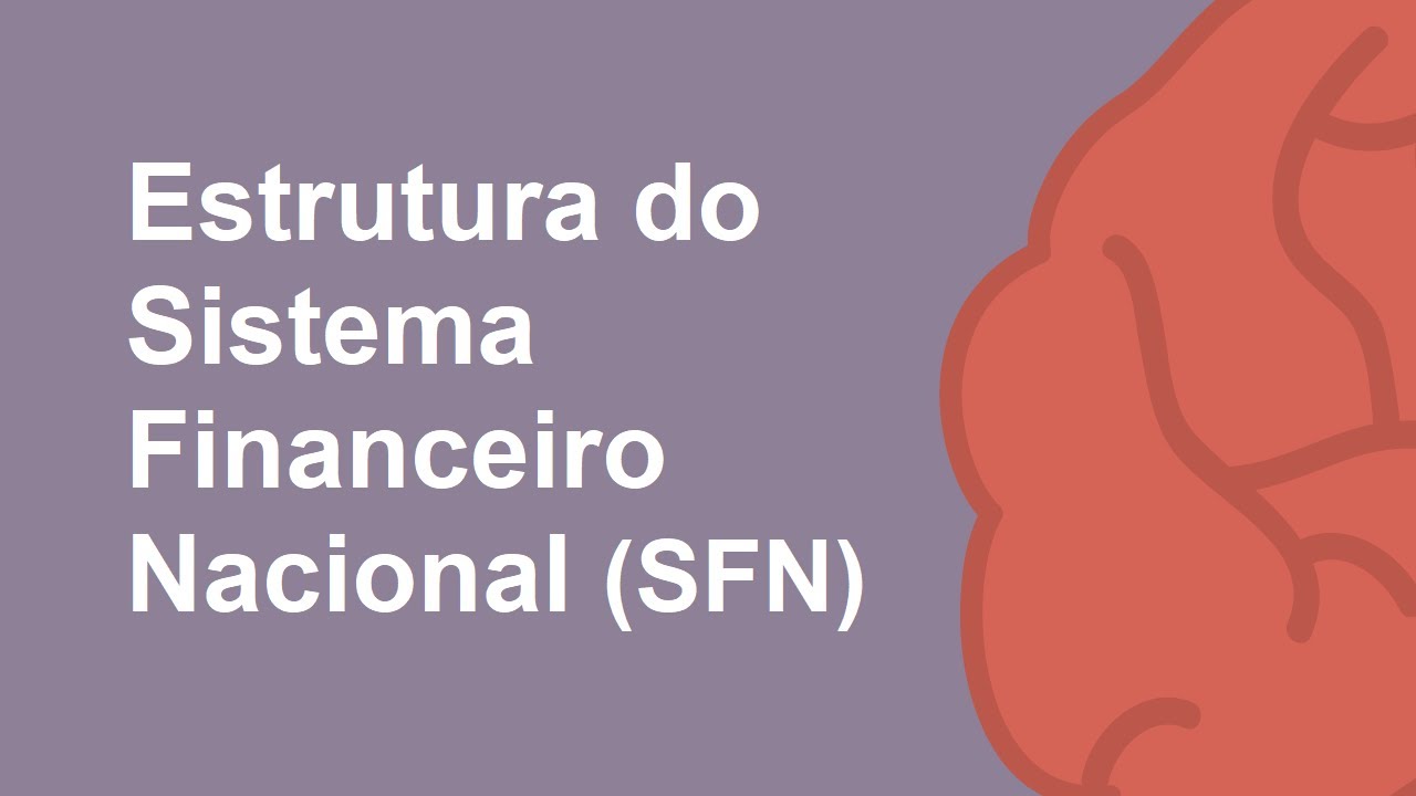 Como entender a ESTRUTURA do SFN com um Mapa Mental? - YouTube