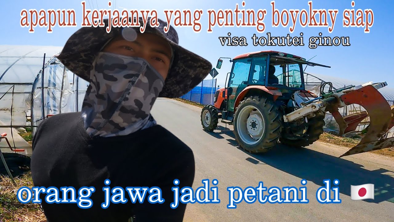 Bos JepangKu Gila Ngasih Kerjaan Banyak Banget,Rutinitas Bercocok Tanam Di jepang #agriculture ...