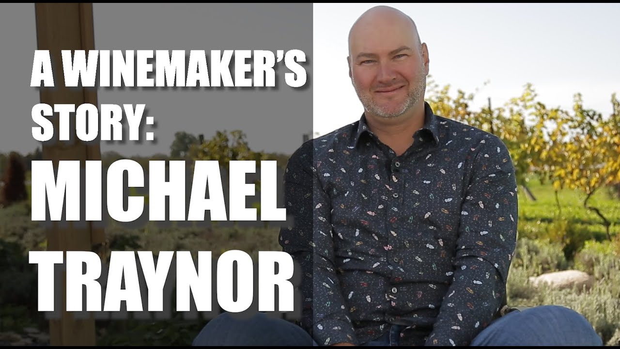 TRAYNOR FAMILY VINEYARD_ MICHAEL'S STORY - YouTube