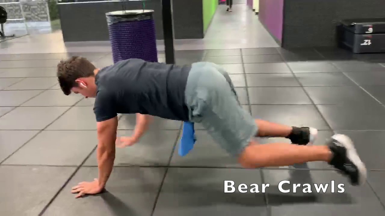 Bear Crawls - YouTube