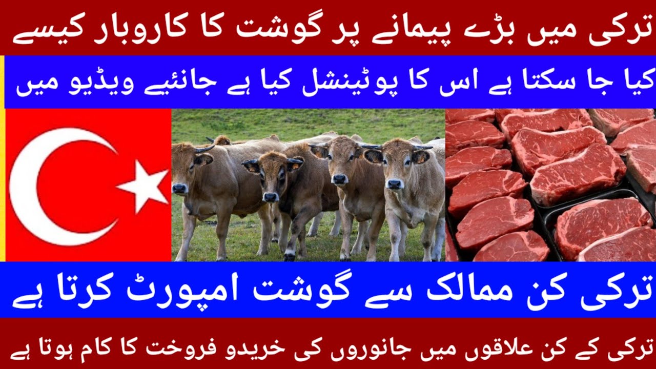 Meat Business in Turkey, Import of fresh and frozen meat, Goat and ...