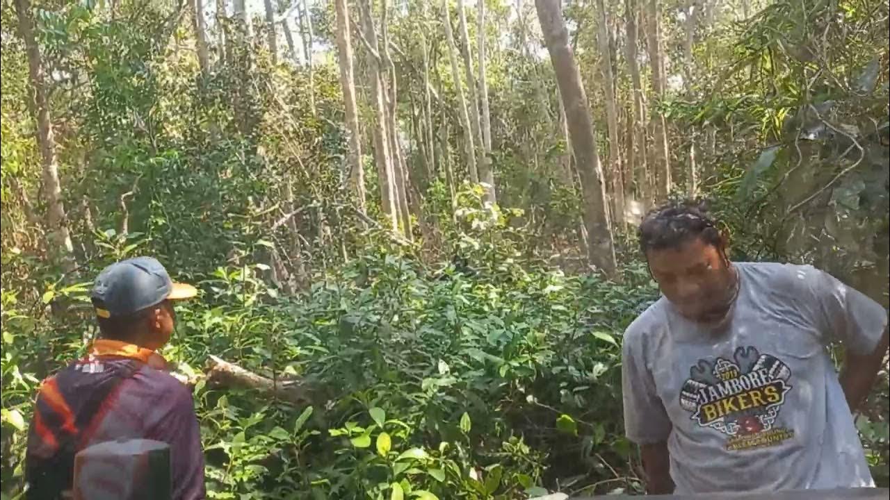offroad ringan saja, jalan2 ke hutan blatar distrik Naukenjerai Kab. Merauke. - YouTube