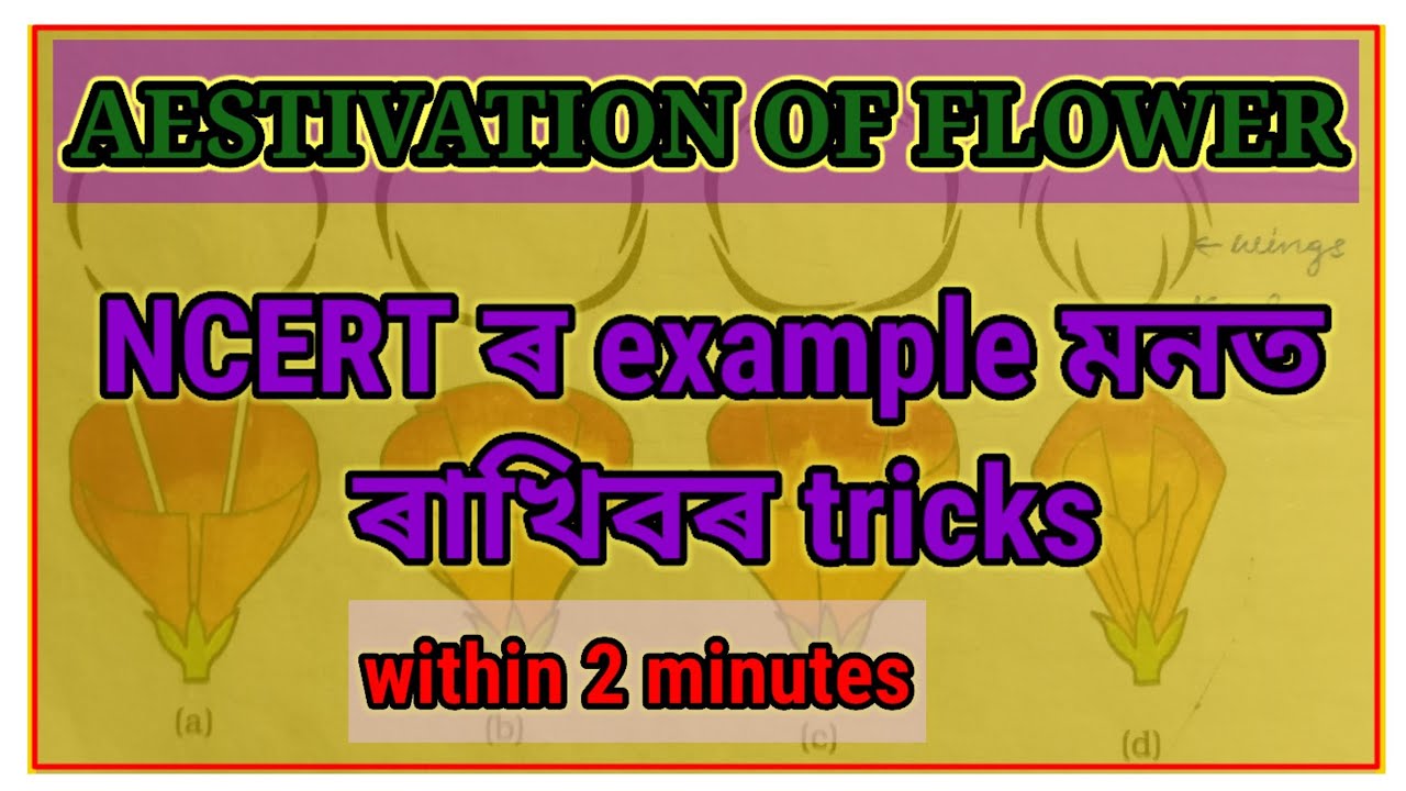 Aestivation of flower l short trick for all ncert examples of ...