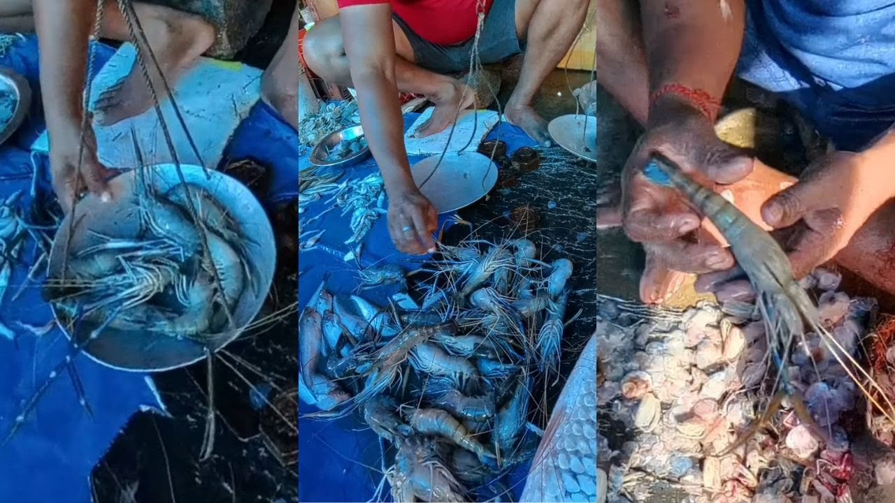 Watch How to Clean and Process Prawns | Amazing Prawn Cleaning Skills ...