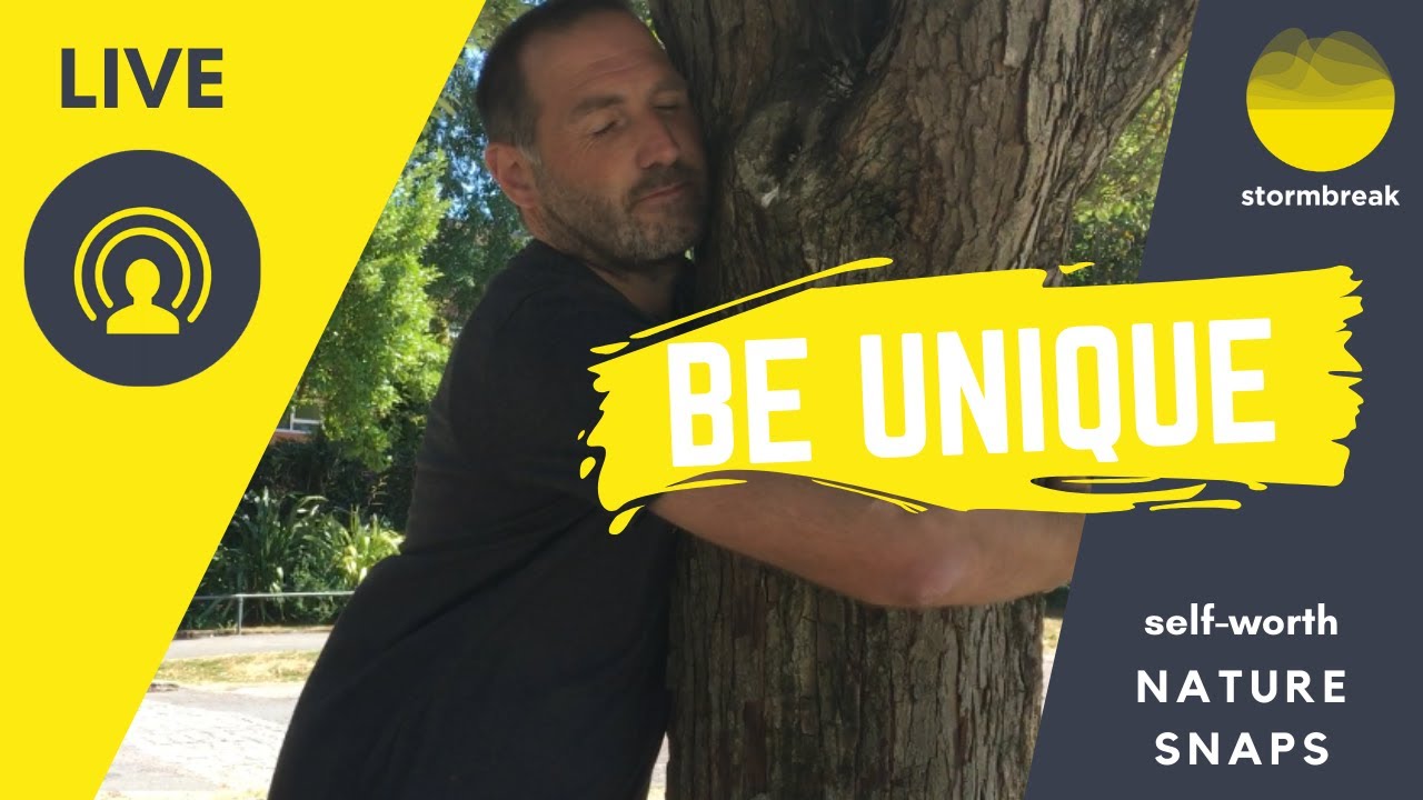 stormbreak LIVE - self-worth - 'nature snaps' - YouTube