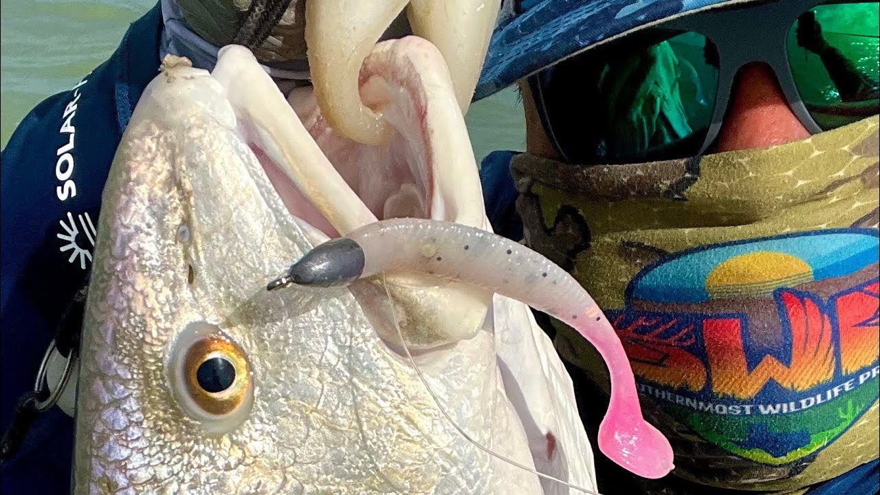 Texas Made Lures Slams Fat Bull Red Fish - YouTube