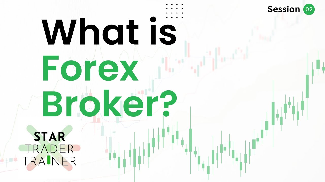 What is a Forex Broker? | How to Check Broker Regulations (WikiFX Guide ...