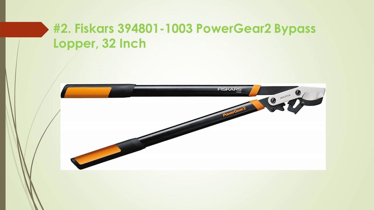 Top 6 Best Tree Trimming Tools Reviews In 2020 YouTube Top 6 Best Tree Trimming Tools Reviews In 2020 YouTube