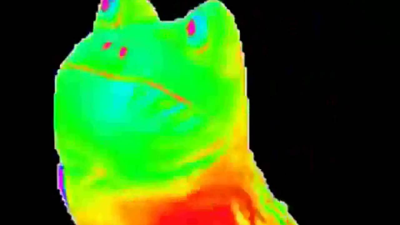 MLG FROG - YouTube