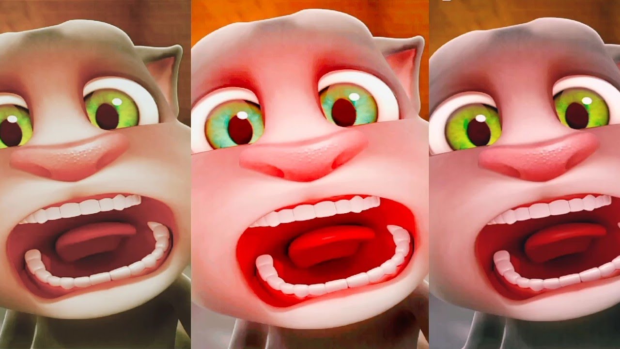 Talking tom#cat #cartoon #video 🍅🥝🥑🍎🍅🥑🥝🥝🥑🍎🥭🥑🍉🍓 - YouTube