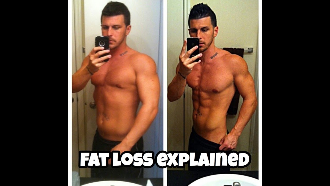 Fat Loss Explained YouTube fat-loss-explained-youtube