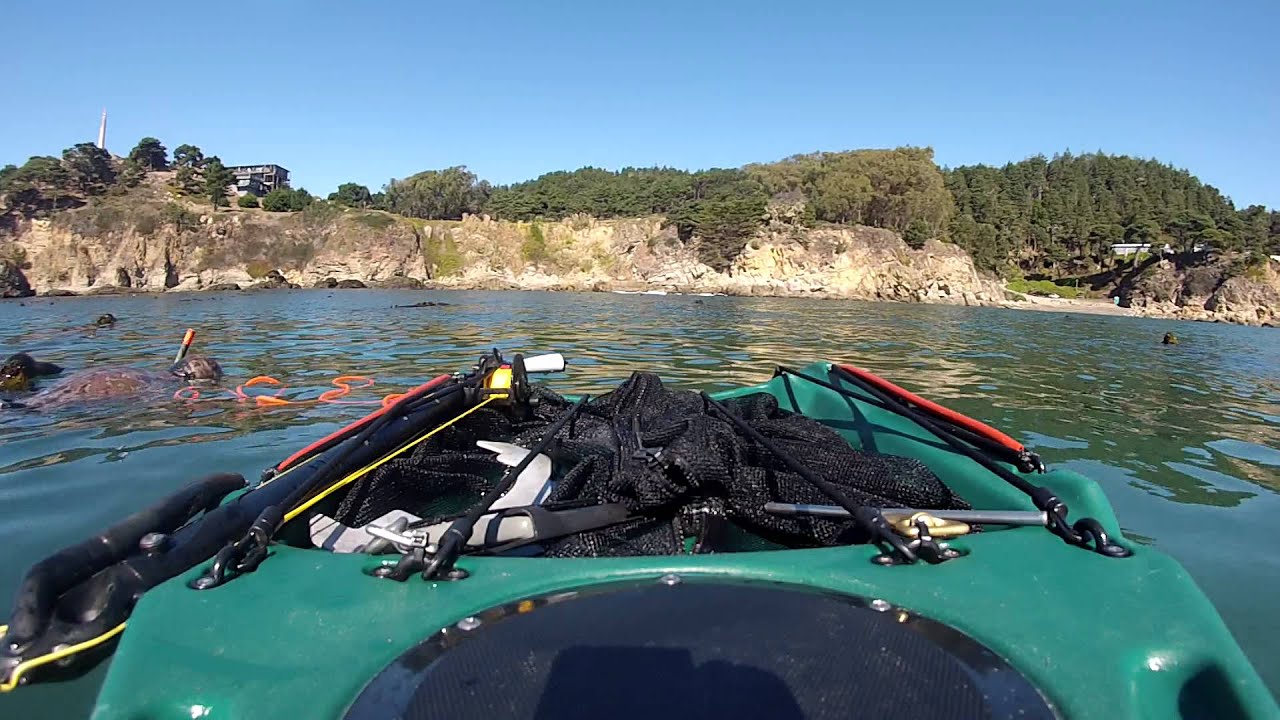 Timber Cove Abalone Diving - YouTube