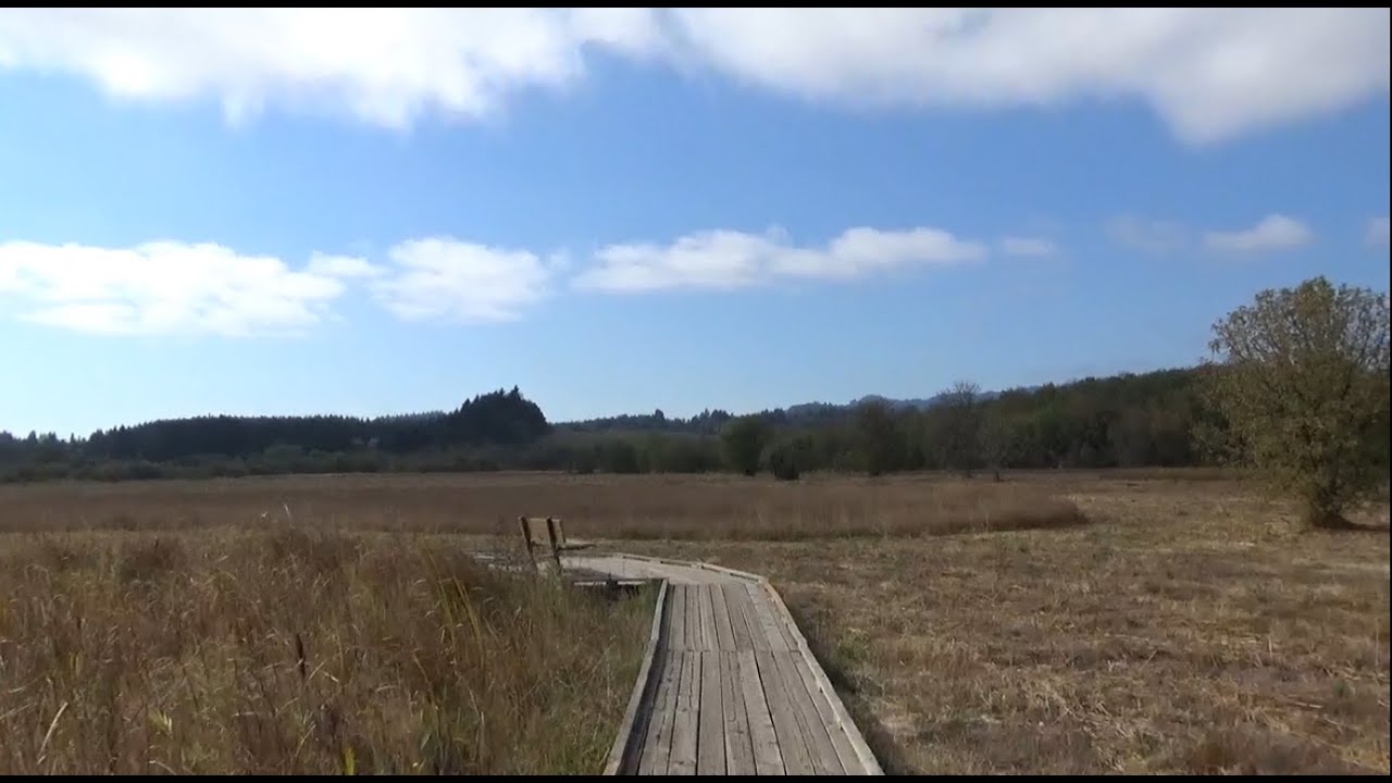 Jackson- Frazier: El Humedal Seco - YouTube