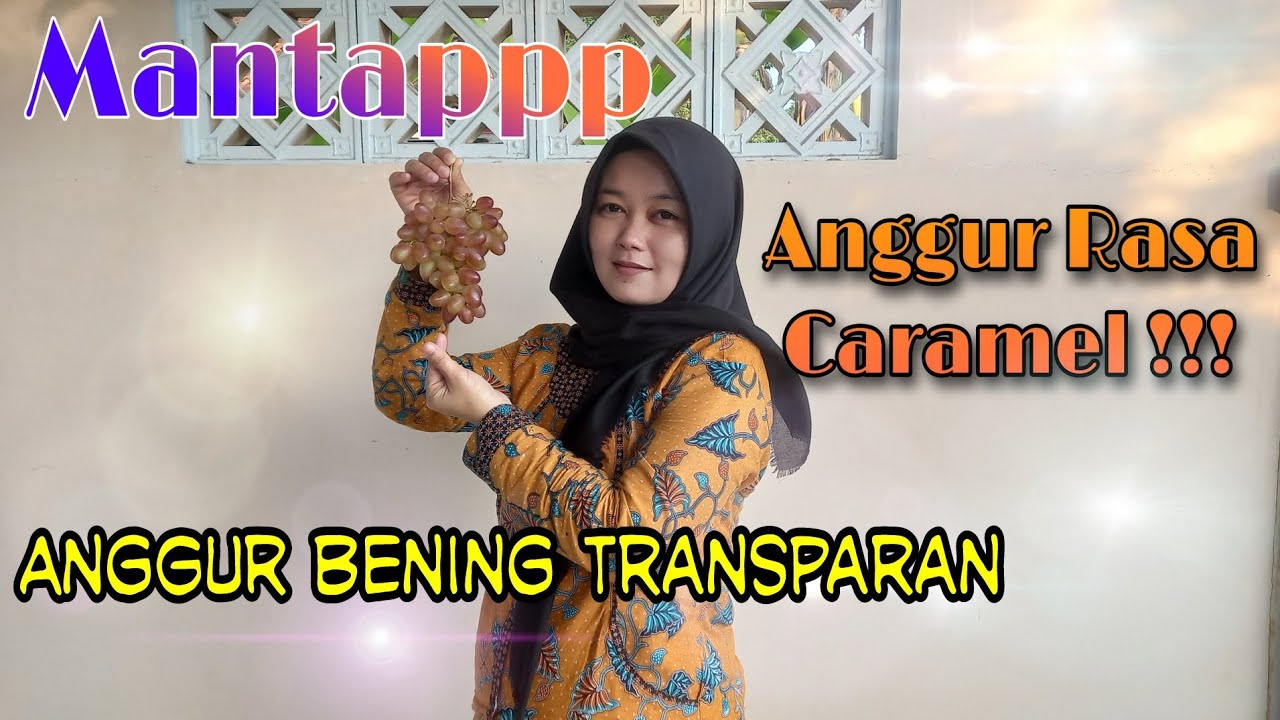 Review Anggur Rasa Karamel Varian Anggur STQ || Caramel Flavored Wine Review STQ Grape Variant ...