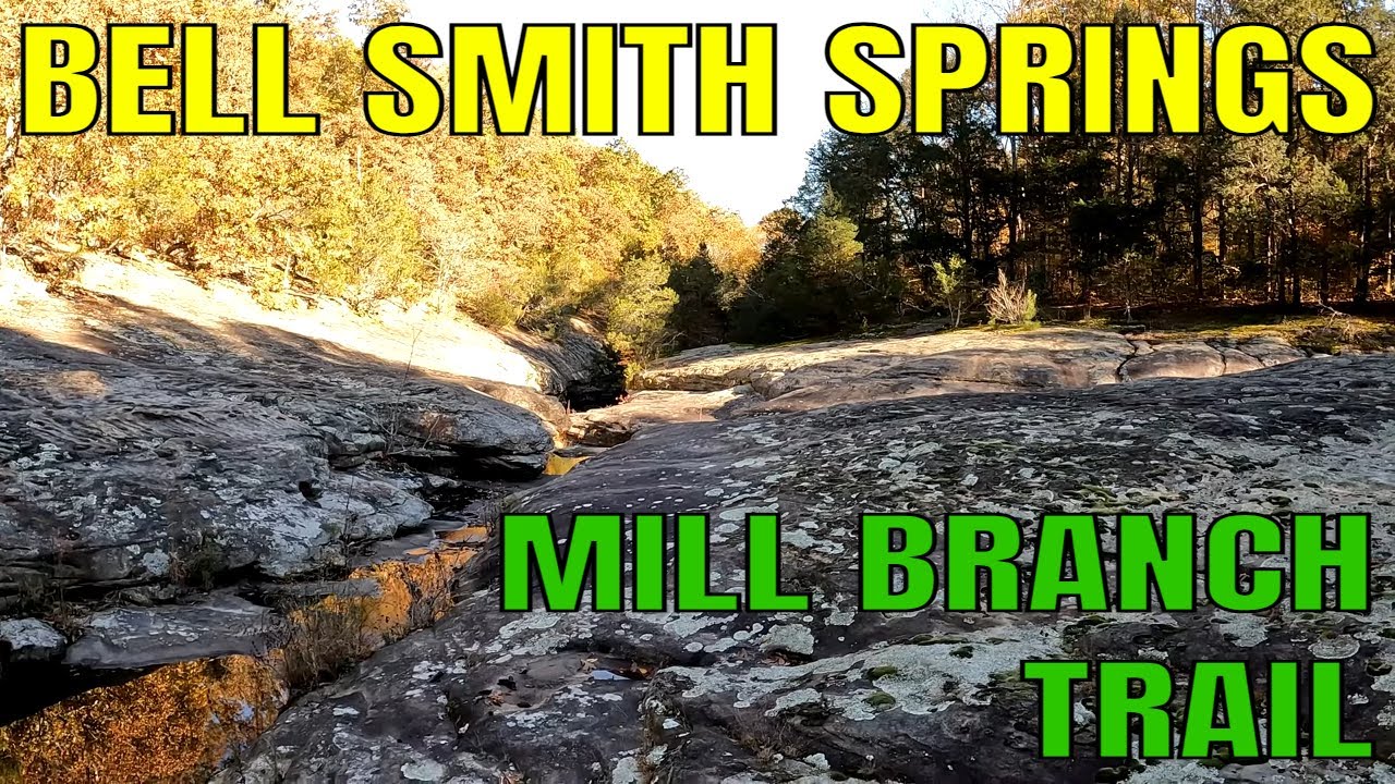 Mill Branch Trail at Bell Smith Springs - YouTube