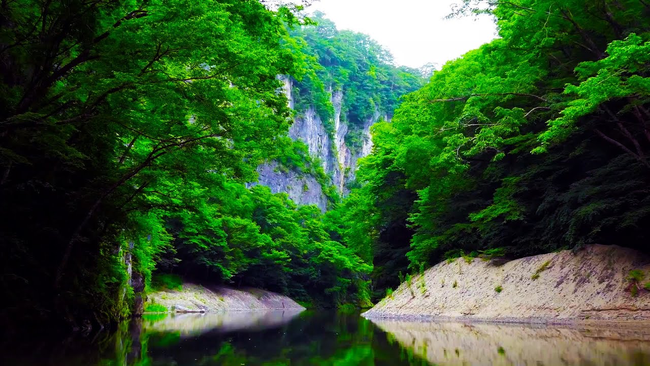 Forest Sounds And Calm Piano For Mind Relaxation | Meditation Music ...